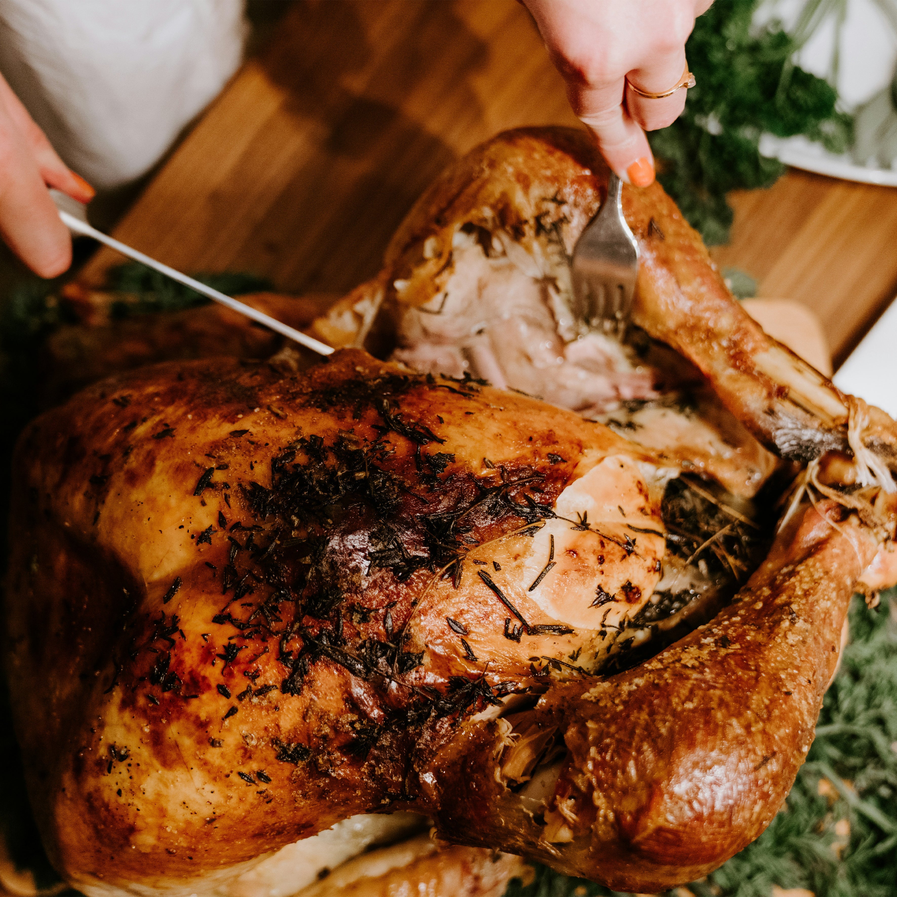 Turkey – Sladesdown Farm
